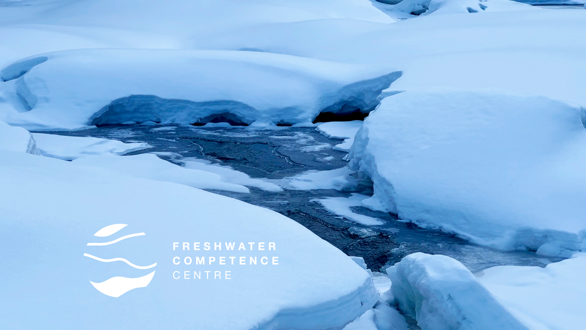 Research reveals what happens under the seemingly calm surface of river ...